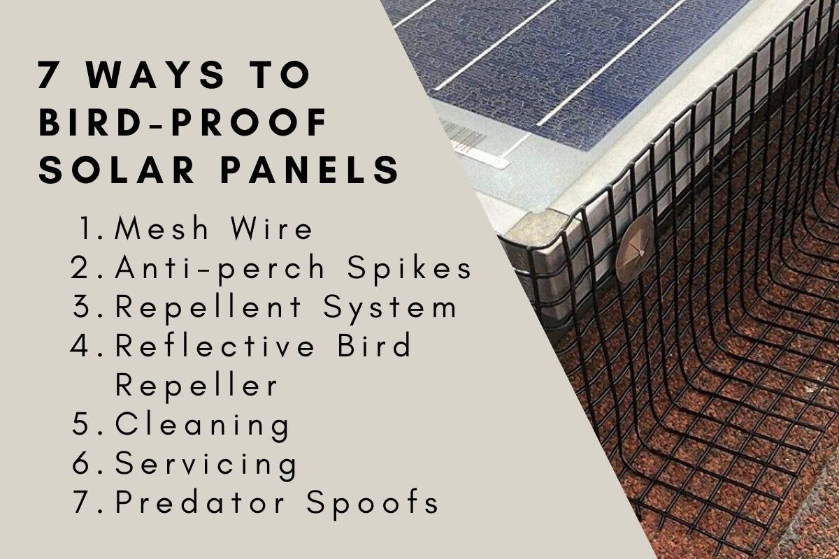Bird-Proofing Solar Panels - Bid Farewell to Your Little Buddies ...